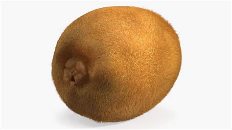 Kiwi With Fur 3d Model 19 Max Free3d