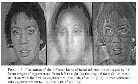 Percentage Of Correct Sex Classi Cation Achieved By The Ve Network Download Scientific Diagram
