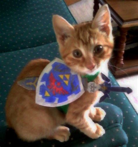 Zelda Kitten Kirstie Baines Link Cosplay Zelda Cosplay Cat Love