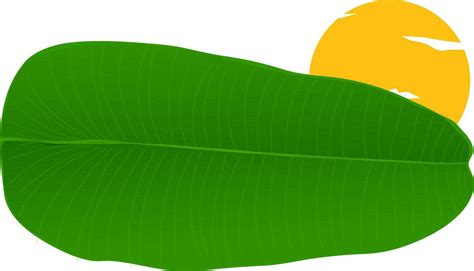 Illustration Of Green Banana Leaf 25086504 Vector Art At Vecteezy