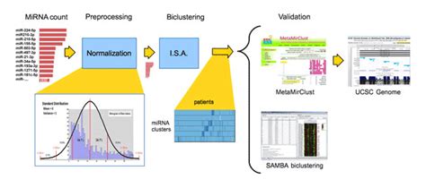 Analysis Of Mirna Expression Profiles In Breast Cancer Using