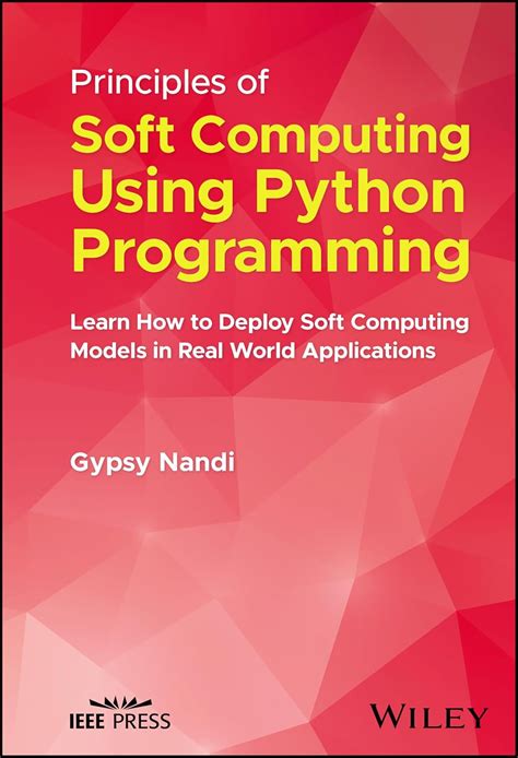 Principles Of Soft Computing Using Python Programming Learn How To