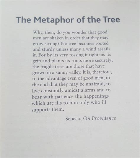 The Metaphor Of The Tree Life Quotes Quotes Metaphor