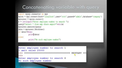 Class 12 Day 100 Computer Science Ch 15 Interfere Python With