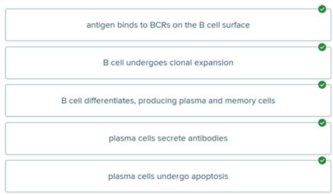 Biol 1407 Chapter 33 Review Questions Flashcards Quizlet