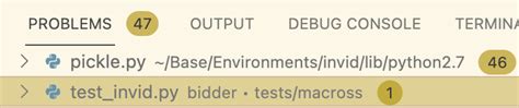Many Spurious Warnings After Running Unit Test Issue Microsoft Pylance Release GitHub