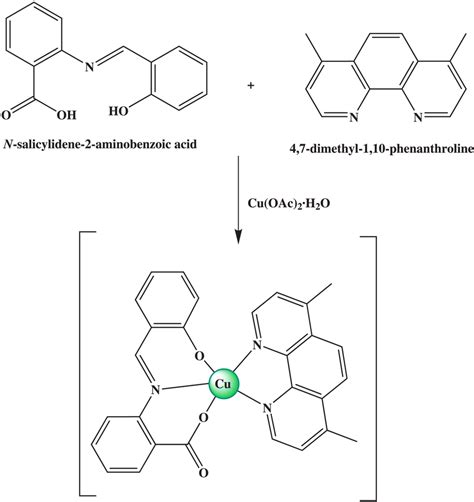 The Synthesis Of Ternary Cu Ii Complex Download Scientific Diagram