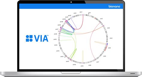 Via™ Analysis Software For Genomics Data Analysis Bionano