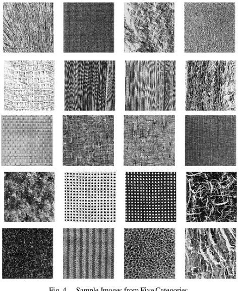 Figure 4 From Texture Classification Using Angular And Radial Bins In Transformed Domain