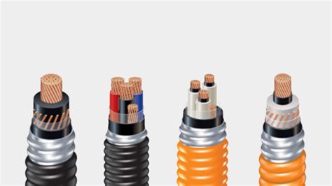 Tray Cable Vs Teck Cable The Complete Comparison Jiangsu Honest