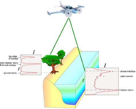 Table 21 From Full Waveform And Discrete Return Lidar In Salt Marsh Environments An Assessment