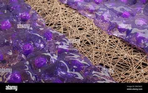 Dynamic Regeneration Fracture Healing Fibrocartilaginous Callus