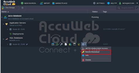 How To Configure Database Hosting In A Cloud Environment Accuweb Cloud
