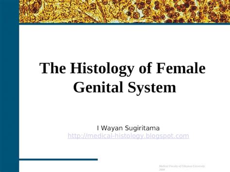 PPT Histologic Structure Of Female Genital System DOKUMEN TIPS