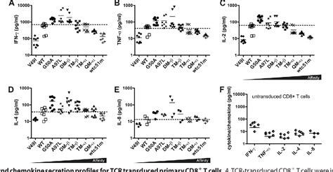 Figure 2 From Interplay Between T Cell Receptor Binding Kinetics And