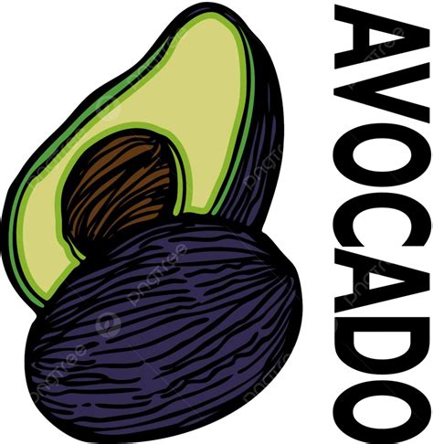 Avocado Object Vegetable Art Vector, Object, Vegetable, Art PNG and ...