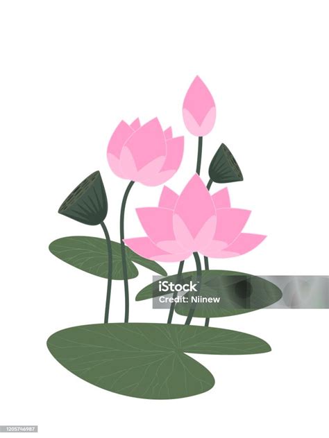 흰색 배경에 평면 디자인에 잎과 연꽃의 포드와 핑크 연꽃 꽃 벡터 일러스트레이션 0명에 대한 스톡 벡터 아트 및 기타 이미지