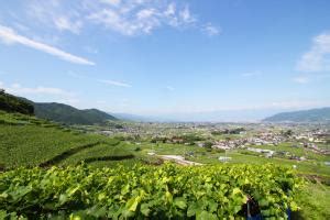 ぶどうシーズン 真っ只中！！ 山梨 甲州市公式観光サイト