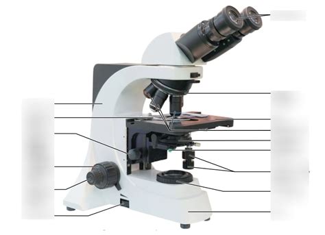 Bio 201 Microscope Diagram Quizlet