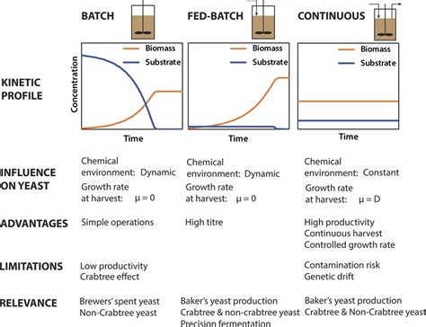 Comparison Of Batch Fed Batch And Continuous Yeast Production Modes Download Scientific Diagram