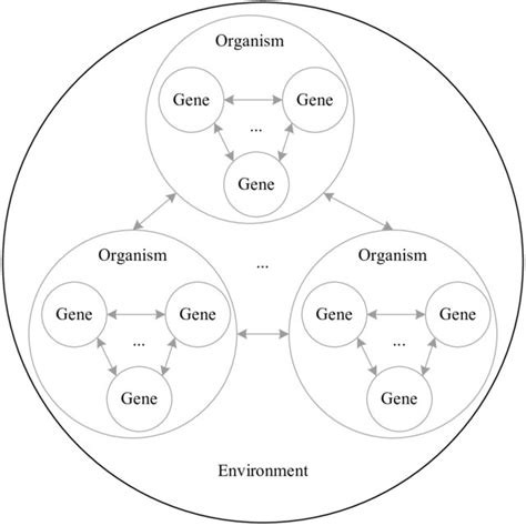 Pdf Neo Triple Helix Model Of Innovation Ecosystems Integrating Triple Quadruple And