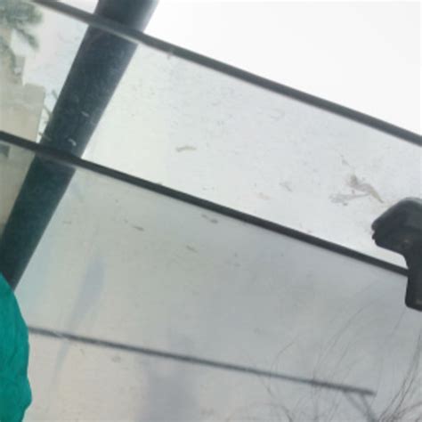 sathya varshini christ university bangalore bengaluru department of english research profile