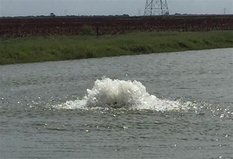 Surface Aerators Lake Management Pond Aerators