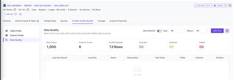 Dq For Datalake Not Showing On Ui · Issue 9651 · Open Metadata