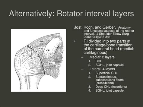 Ppt Anatomy And Pathology Of The Rotator Interval Powerpoint