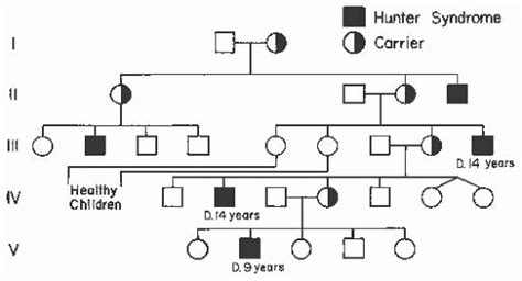 Genetics Of Eye Disease Ento Key