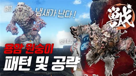 와일드하츠 용암 원숭이 패턴 및 공략 Youtube