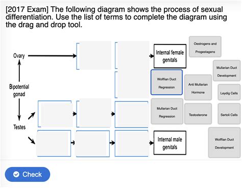 Solved Exam The Following Diagram Shows The Process Chegg Com