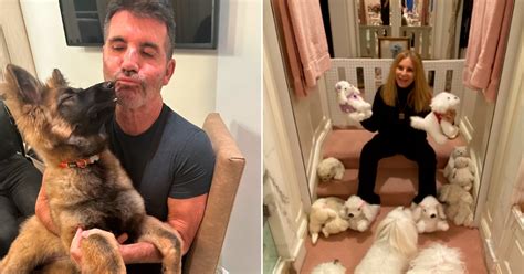 Las Dos Celebridades Que Clonaron A Sus Mascotas Infobae