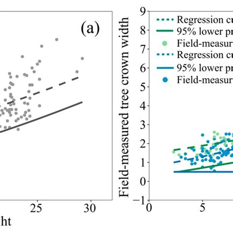 The Relationship Between Crown Width And Tree Height For One Variable Download Scientific