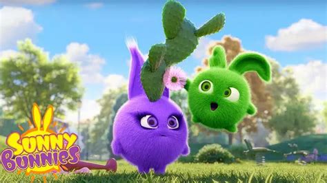 کارتون سانی بانی با داستان قدرت گل