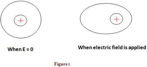 Mechanism Of Polarization