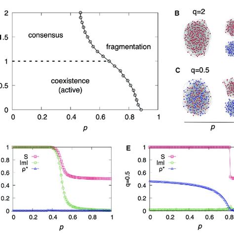 A Phase Diagram Of The Cnvm With Respect To P And Q Contains