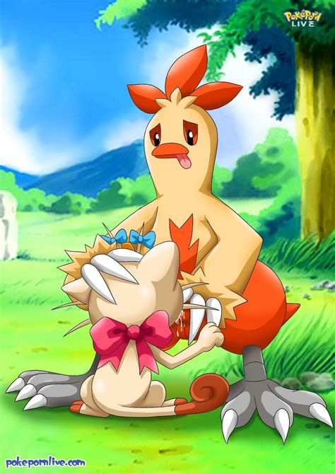 Rule 34 Balls Bbmbbf Combusken Cum Cum In Mouth Cum Inside Female Male Male Female Meowth