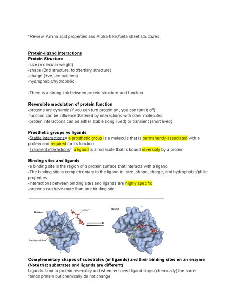 Protein Structure And Function Interactions Of Oxygen Binding Proteins
