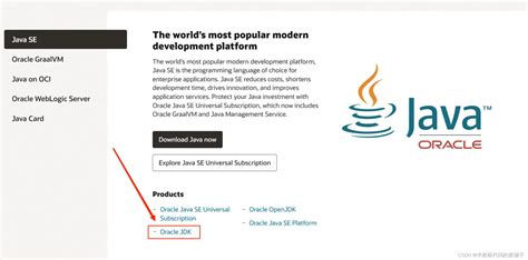 Java官网下载jdk21版本详细教程（下载、安装、环境变量配置） 阿里云开发者社区