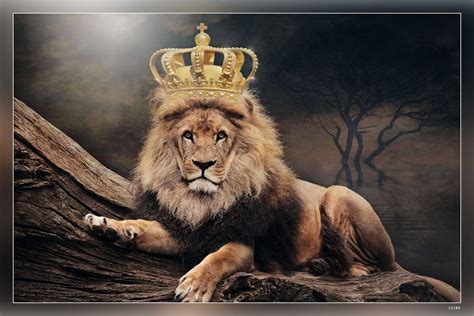 1534 King Name Dp Profile Picture 4k Hd Images