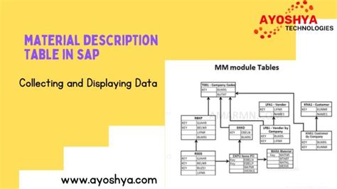 Navigating Sap Data Material Description Table In Sap 2024 Sap