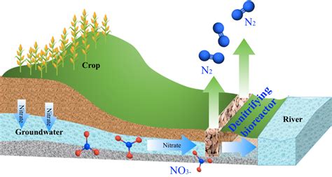 Denitrifying Bioreactor