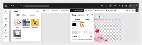Adobe Express Background Remover Complete Buyers Guide