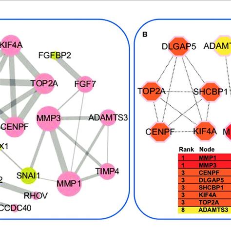 Protein Protein Interaction Ppi Network A Ppi Enrichment