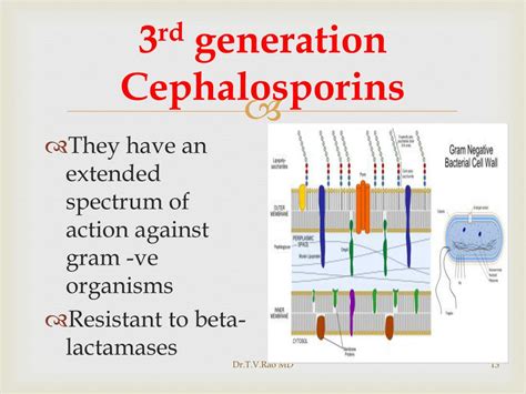 Ppt Cephalosporins And Antibiotic Resistance Powerpoint Presentation