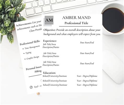 Fancy Resume Template Professional Resume Template Detailed Resume