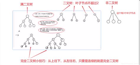 【算法04】树与二叉树（递归思想遍历） 二叉树遍历算法中的基本操作是访问根结点 不论按哪种次序的遍历 都要访问所有 csdn博客