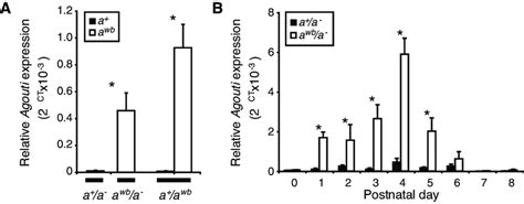 A Cis Acting Mutation Or Mutations Increases Agouti Expression And