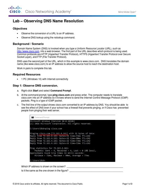 5313 Lab Observing Dns Name Resolution Pdf Domain Name System